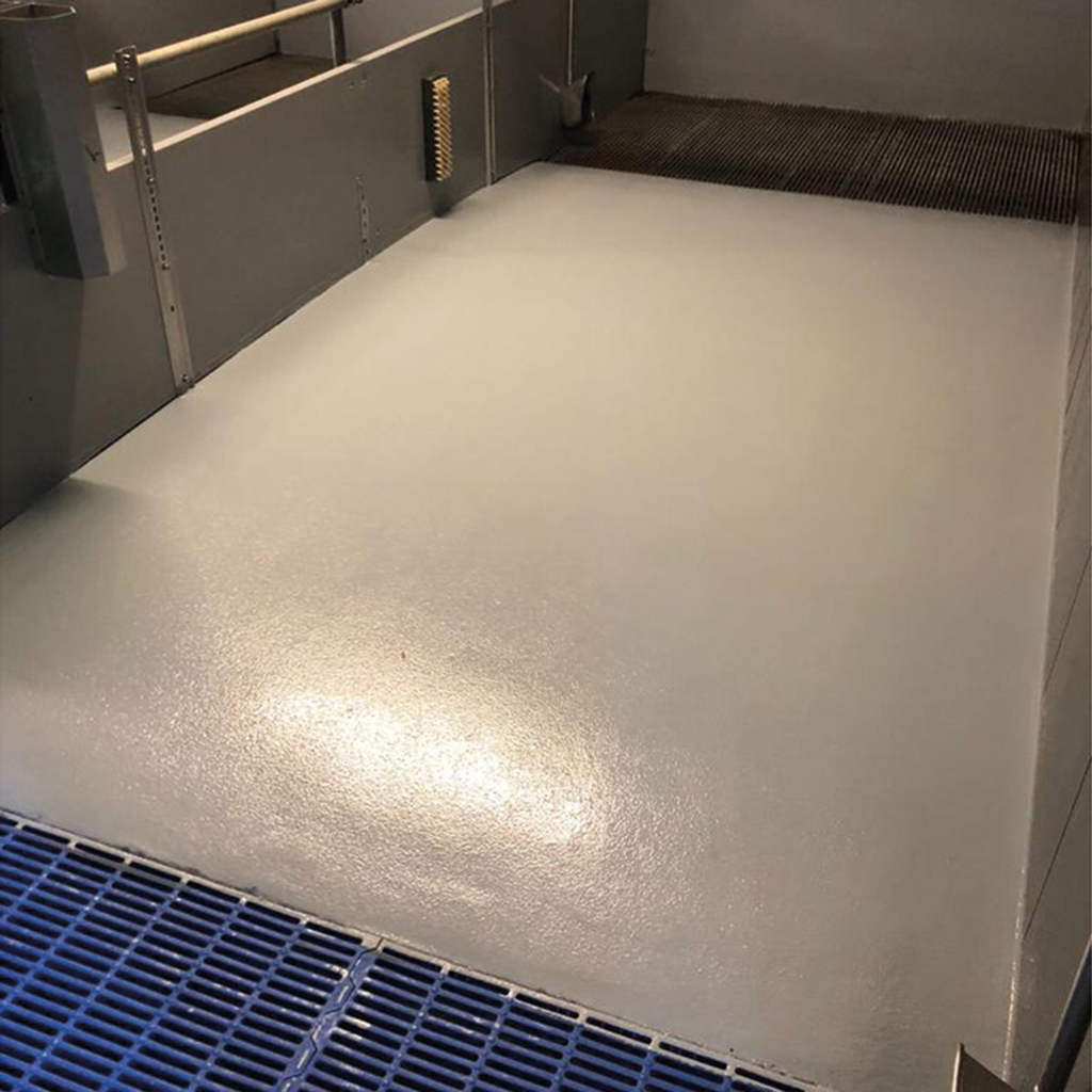 Coating in Piglet stable | Professional Pig Farming