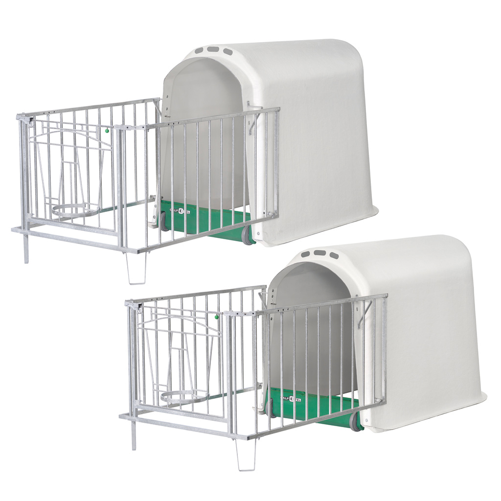 Products for professional calf rearing | Cattle Farming