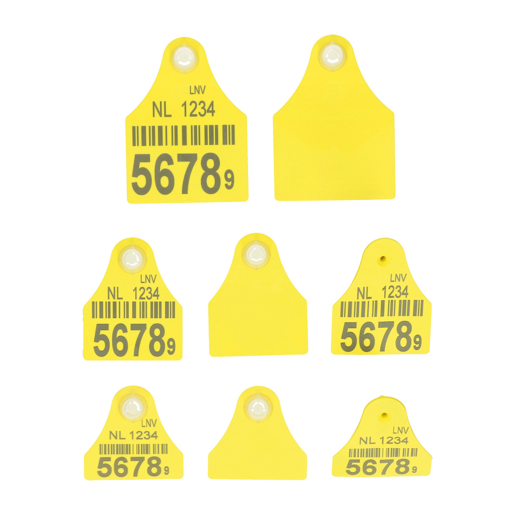 Professional I&R ear tags | Animal identification cattle
